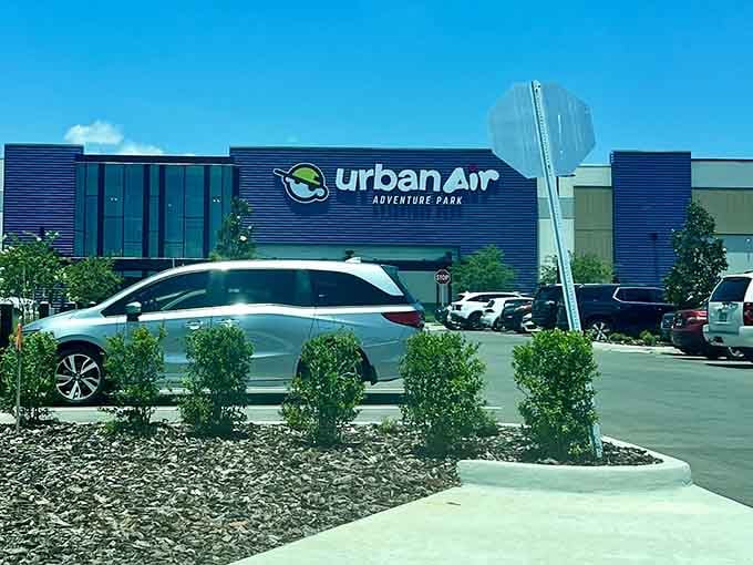 The modern facade hints at aerial adventures waiting inside, where trampolines and challenges reach toward the sky.