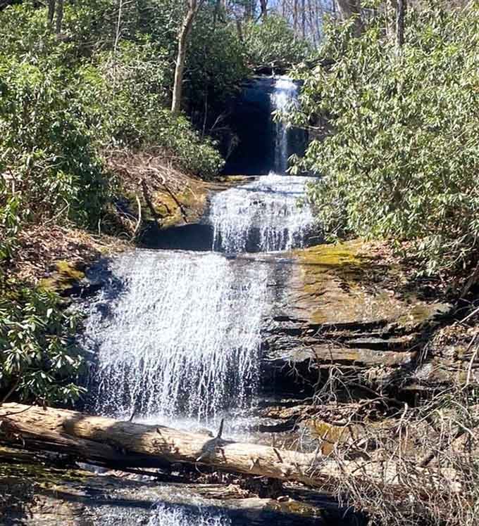 Sunlight dapples through the trees at DeSoto Falls, creating a light show that changes hourly – Mother Nature's own mood lighting.
