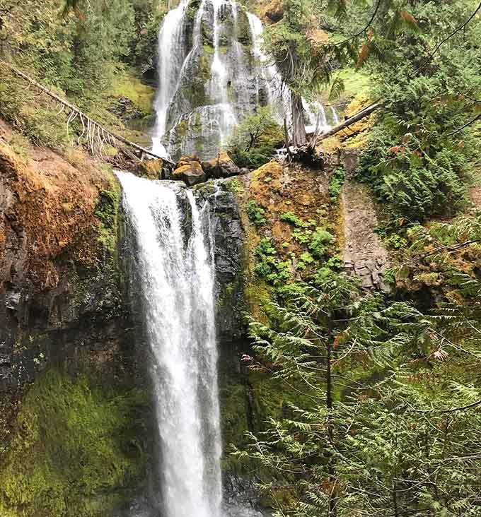 The upper tier cascades down like a delicate veil while the lower section provides the dramatic punch of rushing water.