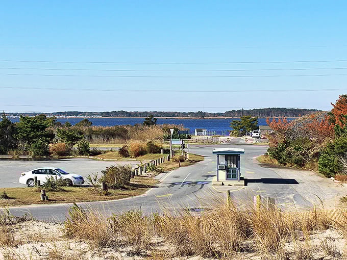 Fenwick Island's natural beauty reminds us that sometimes the best vacation views don't require a passport or a filter.