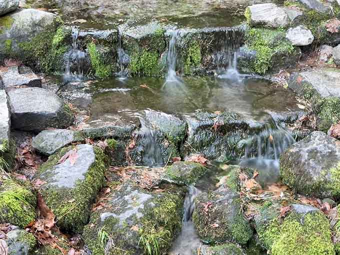 Multiple tiny waterfalls create nature's own fountain display, trickling over emerald moss in perfect harmony all day long.