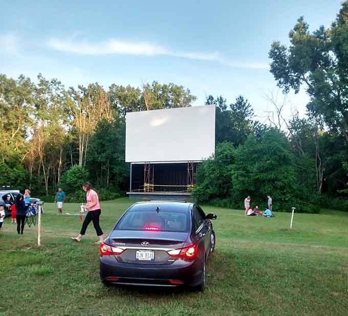 Lush green grass and towering trees frame this screen like nature's own movie theater in the countryside.