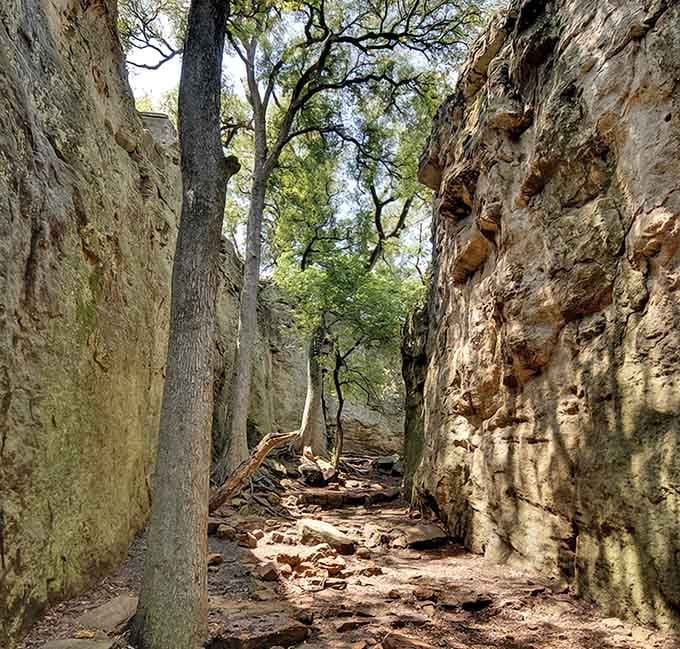 Ancient limestone walls frame this shaded trail where trees grow stubbornly between rocks in nature's own obstacle course.