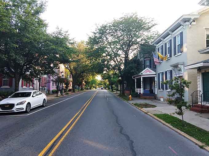 Tree canopy arches over quiet streets where neighbors still wave and front porches actually get used regularly.