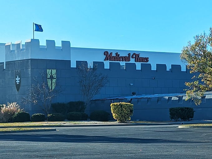 Those fortress walls and battlements promise an evening where history comes alive through dinner theater and medieval pageantry.
