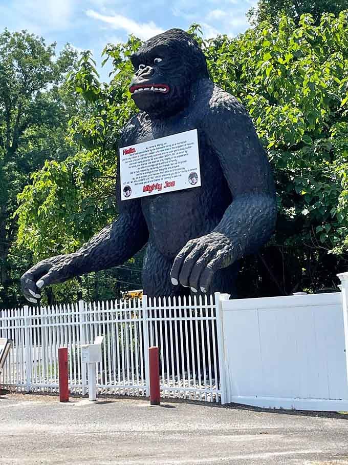 The gorilla's powerful stance and detailed features make him an unforgettable landmark along this quiet stretch of highway.