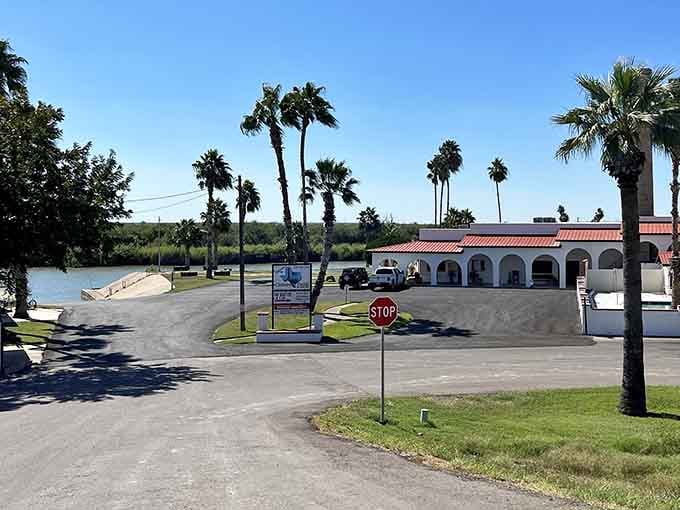 Palm trees frame the waterfront like a postcard you'd send if people still sent postcards instead of texts.