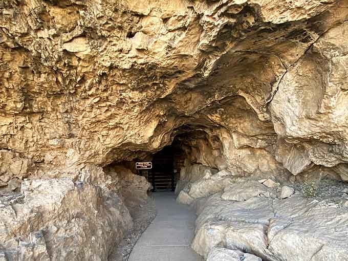 The entrance looks modest, but what waits inside rivals any fancy museum you've ever visited, guaranteed.