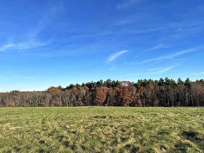 That endless green meadow stretching toward autumn woods looks like the opening scene of every great adventure movie.