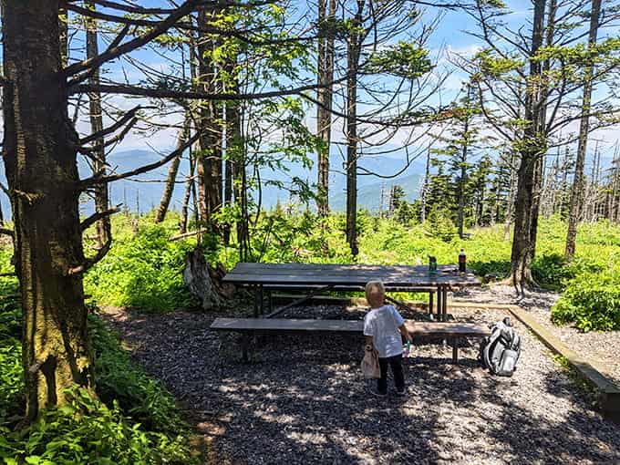 A picnic table perched on the mountain edge offers lunch with a view that beats any fancy restaurant's window seat.