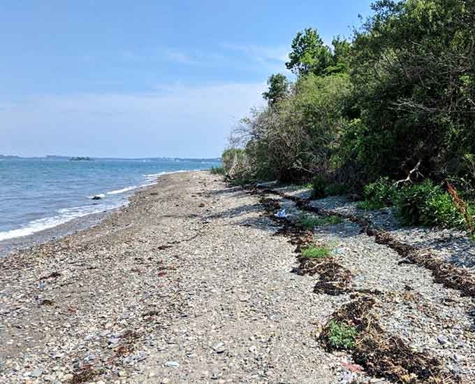 Wild beaches meet dense vegetation where solitude isn't lonely, it's luxurious and exactly what your soul ordered.