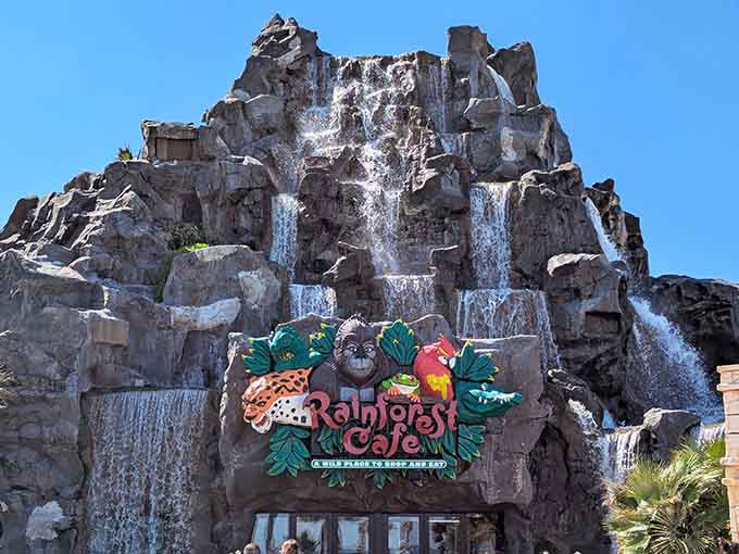 Under blue skies, this towering waterfall facade promises wild encounters and family-friendly fun with every delicious bite served.