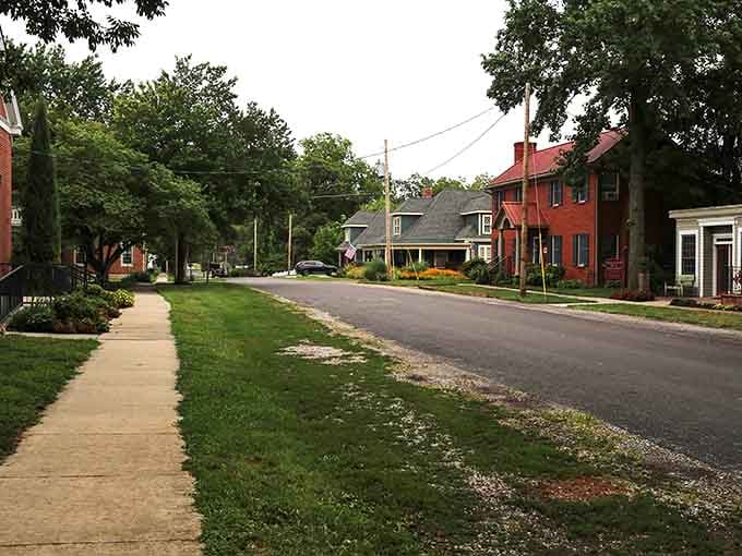 Mature trees arch over quiet residential streets where historic homes sit comfortably like old friends sharing afternoon tea.