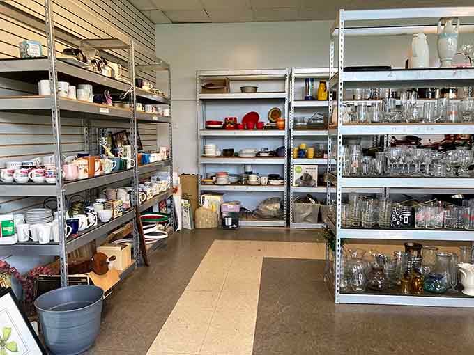 Shelves lined with glassware, dishes, and kitchen essentials sparkle under fluorescent lights like a grandmother's organized pantry.