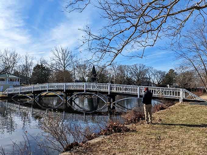 The ornate bridge curves over calm water, proving that even functional things can dress up for company.