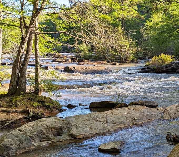 Sunlight catches the rapids as they dance over boulders, creating diamonds that cost absolutely nothing.