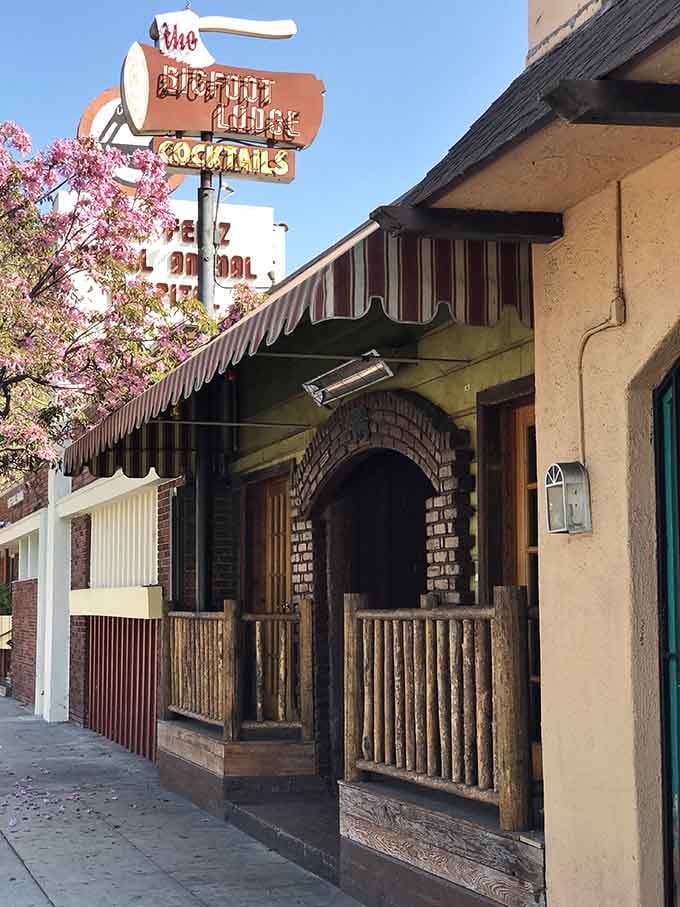 Spring blossoms frame the vintage sign perfectly, proving nature and nostalgia make the best dining companions.