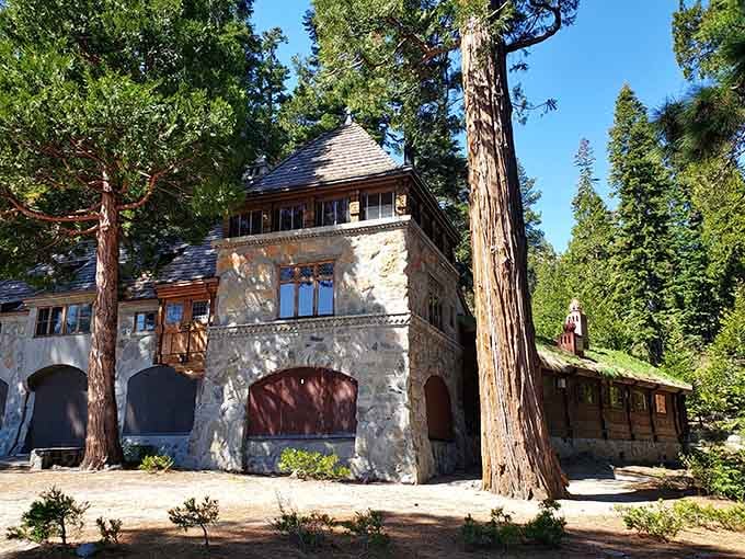 That sod roof sprouting wildflowers proves the Norse knew a thing or two about blending architecture with nature's beauty.