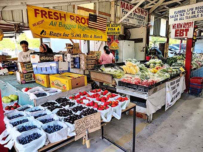 Berry season explodes with color as fresh strawberries and blueberries line tables like edible jewels waiting.
