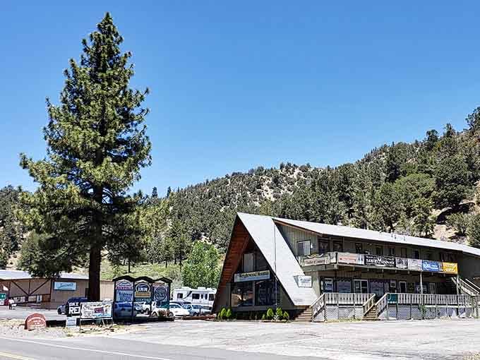Those vintage A-frame buildings against the forest backdrop look like they're auditioning for a 1970s ski movie.