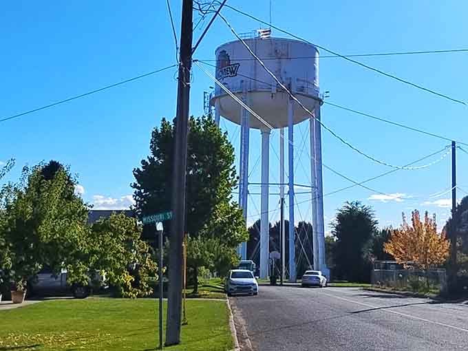 The water tower stands tall, a beacon reminding you that infrastructure can actually be kind of charming.
