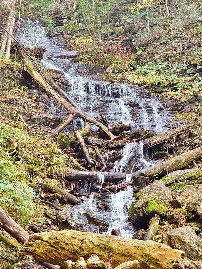 Mountain streams doing their thing, cascading over rocks like they've been practicing this routine for thousands of years.