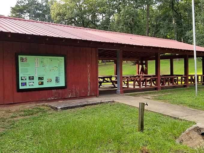 This covered pavilion at Angus Gholson Nature Park offers shade, picnic tables, and zero judgment about your cooler contents.