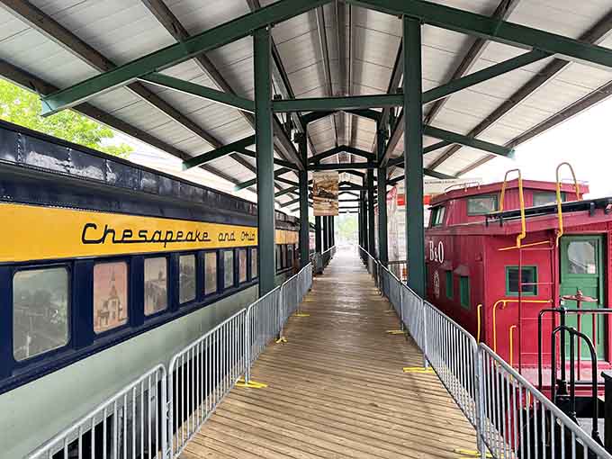 Walking between these giants feels like strolling through a neighborhood where the residents weigh several tons each.