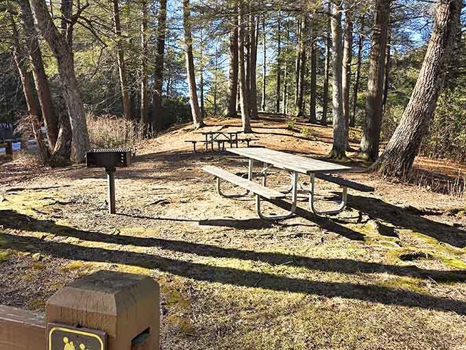 Your picnic table awaits among the pines, no reservation required, no dress code enforced.