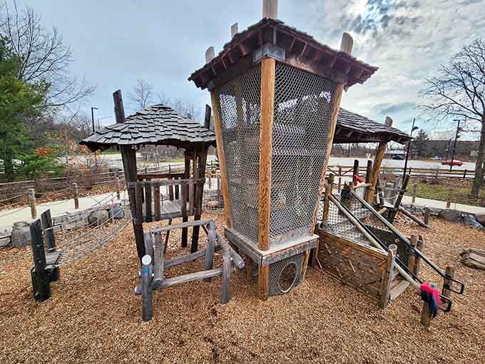 Rope bridges and climbing towers where future architects learn that gravity is both friend and occasional nemesis.