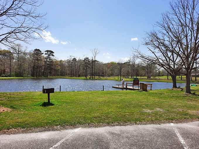 A peaceful fishing spot where you can actually see what you're trying to catch swimming below.
