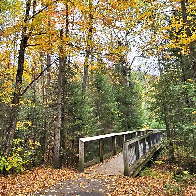 The wooden walkway winds through autumn's golden hour, making the journey as beautiful as the destination itself.