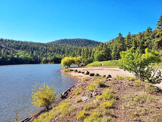 Nature's perfect mirror&mdash;Kaibab National Forest reflects in crystal waters just minutes from downtown. Serenity doesn't get more accessible than this.