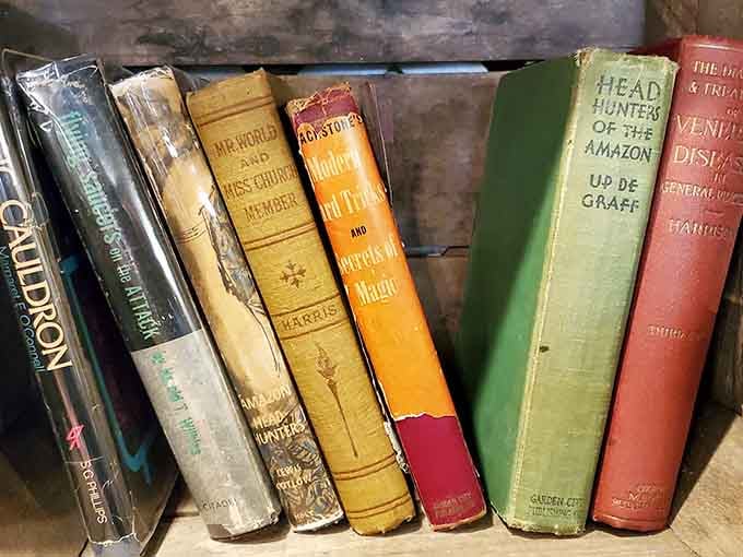 These weathered spines hold adventures from "Head Hunters of the Amazon" to forgotten novels your grandparents probably read.