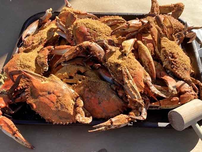 Behold: a mountain of steamed blue crabs that would make any Marylander weep tears of pure joy.