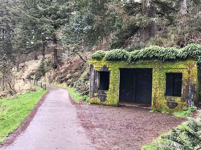 Moss-covered bunkers from another era add mysterious character to your hike, like stumbling onto a forgotten movie set.