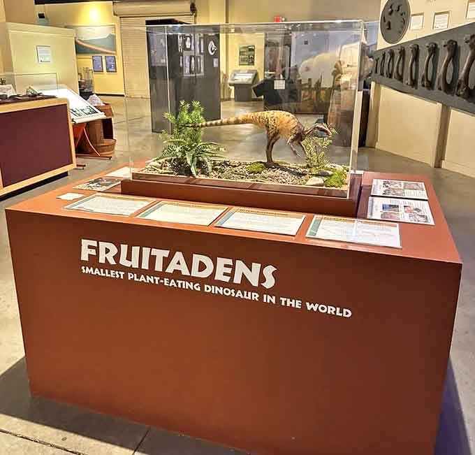 Meet Fruitadens, the smallest plant-eating dinosaur ever discovered, proving that good things really do come in tiny prehistoric packages.