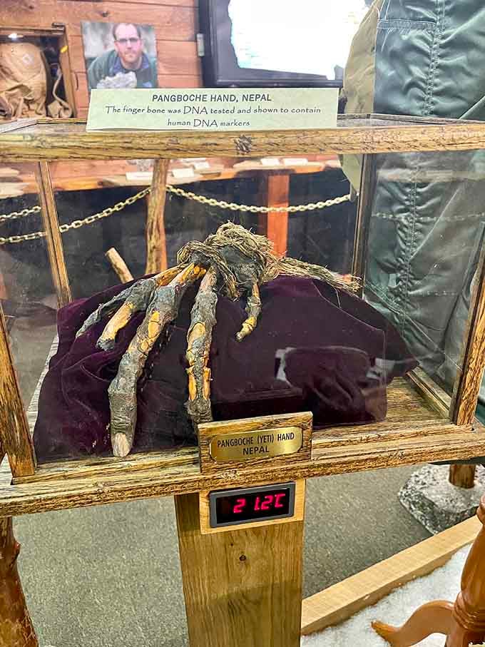 The Pangboche Hand from Nepal sits behind glass, raising questions science hasn't quite answered yet.