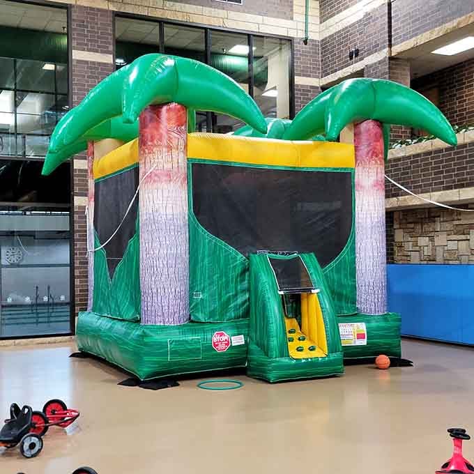 That palm tree bouncer is basically a tropical vacation without the expensive plane tickets or questionable resort food.
