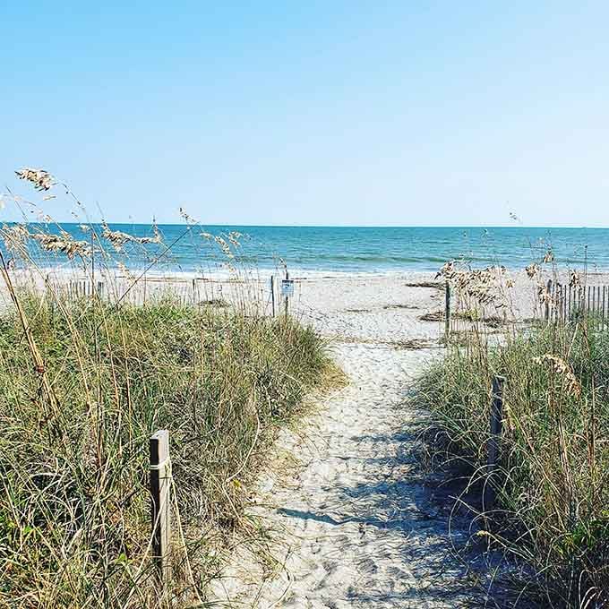 The sandy path between the dunes whispers promises of ocean breezes and the kind of relaxation you've been craving.