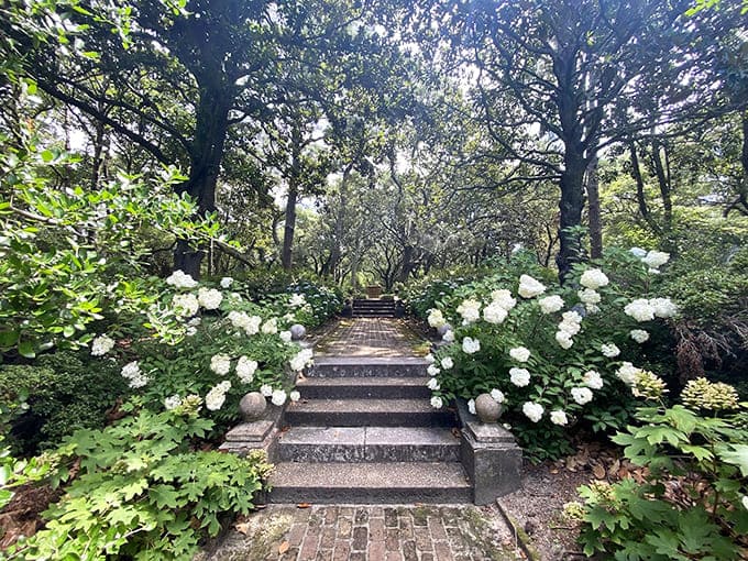 White blooms flanking stone steps create a stairway that's practically begging for a grand entrance.