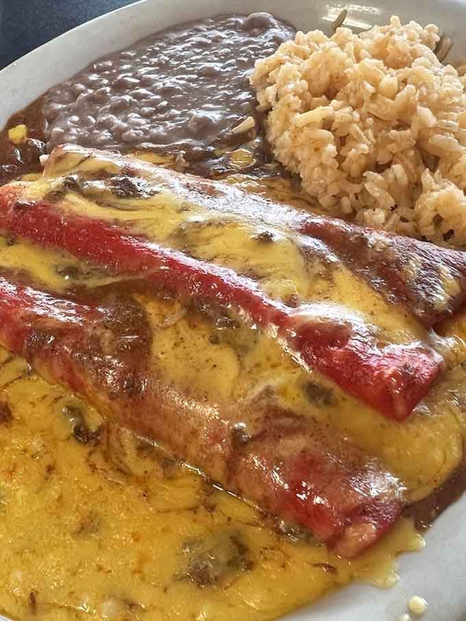 Enchiladas draped in sauce like they're getting ready for their close-up, with rice and beans as backup dancers.