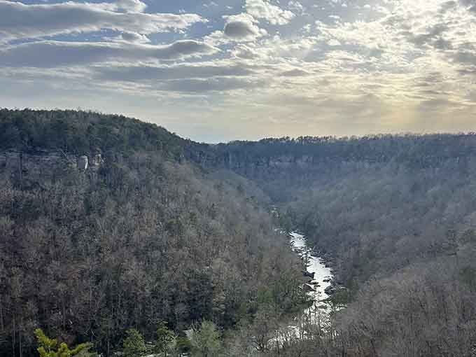 Winter light transforms the canyon into something that belongs on a gallery wall, not hidden in Alabama.