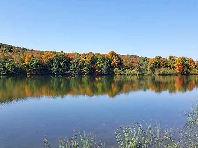 Water so still it doubles the autumn show, nature's way of showing off without being obnoxious about it.