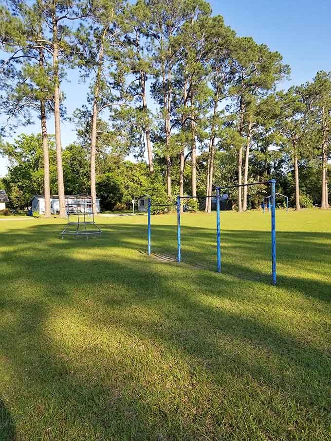 Simple pleasures cost nothing at Waycross parks. These playground classics remind us that entertainment doesn't require a streaming subscription.
