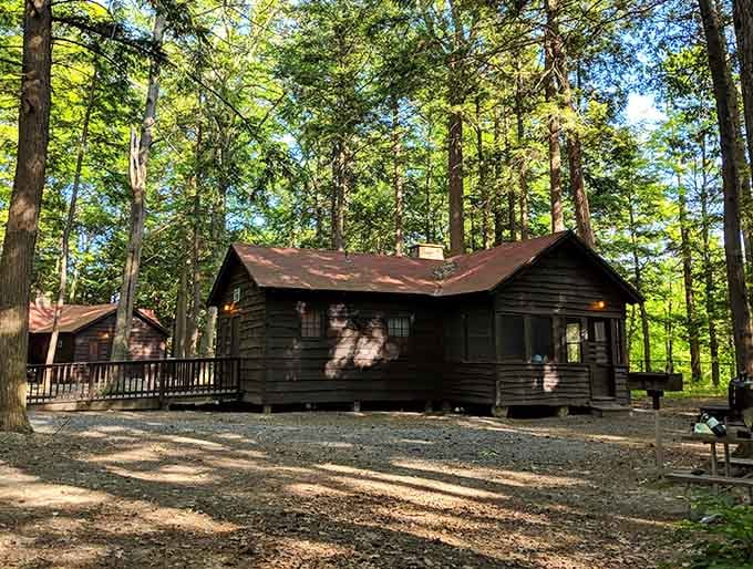Rustic cabins that let you pretend you're roughing it while still having a roof and actual beds, genius.