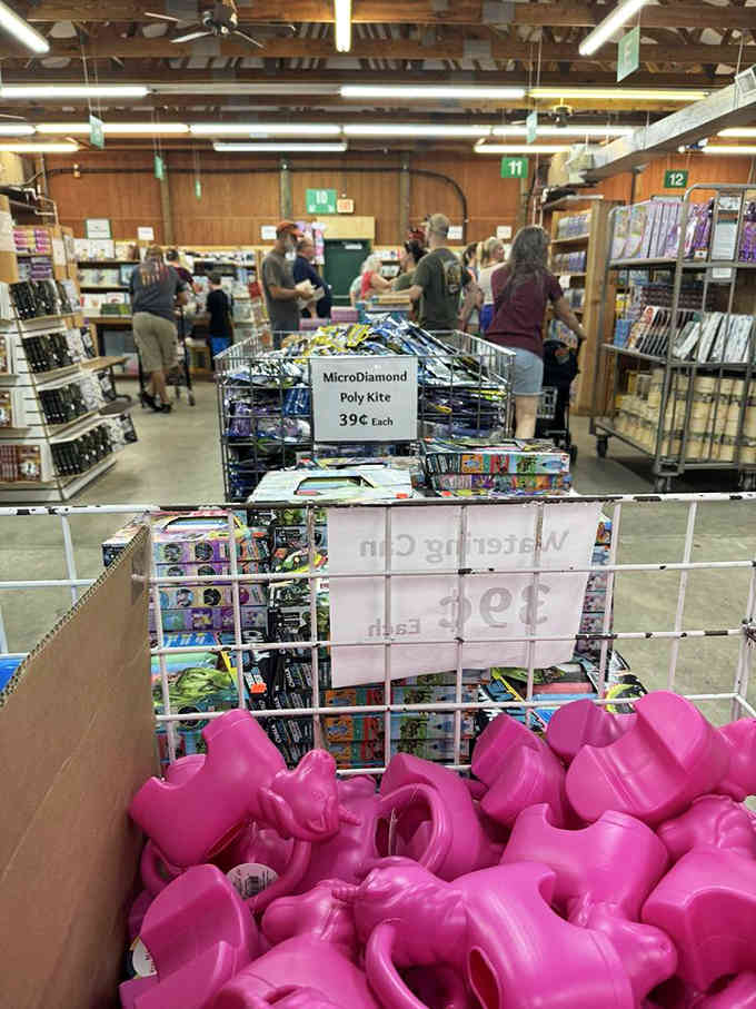 The checkout lines move fast despite everyone's overflowing carts, because this is where literary dreams come true affordably.
