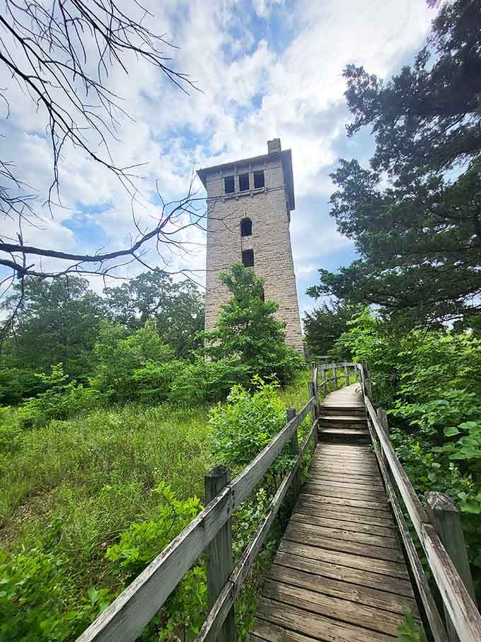 Wooden bridges lead you deeper into the park's mysteries, one careful step at a time.