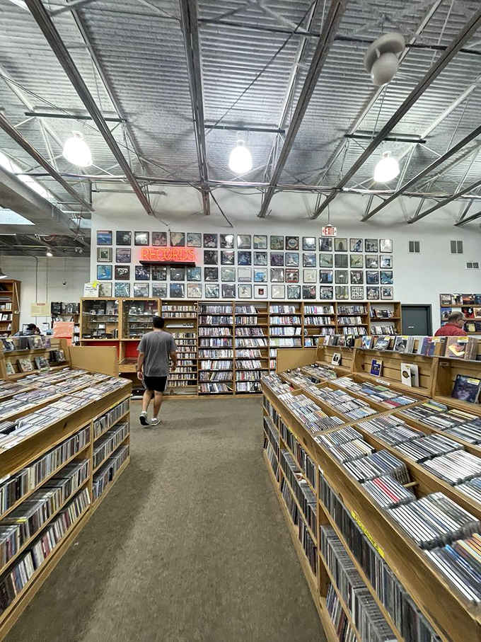 Rows of carefully organized books create pathways to adventure, knowledge, and entertainment at genuinely reasonable prices.