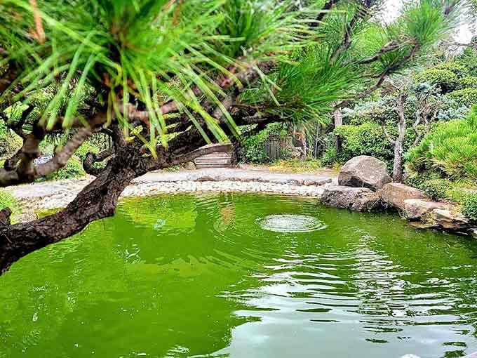 This pond is so green and serene, even your meditation app would be jealous of the vibe.